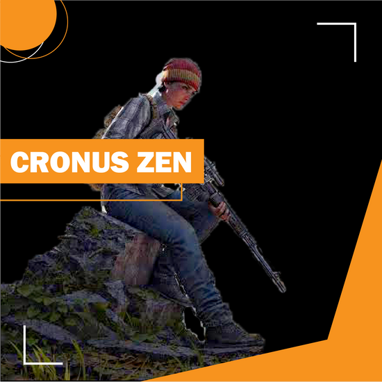 DayZ – CronsuZen Hub